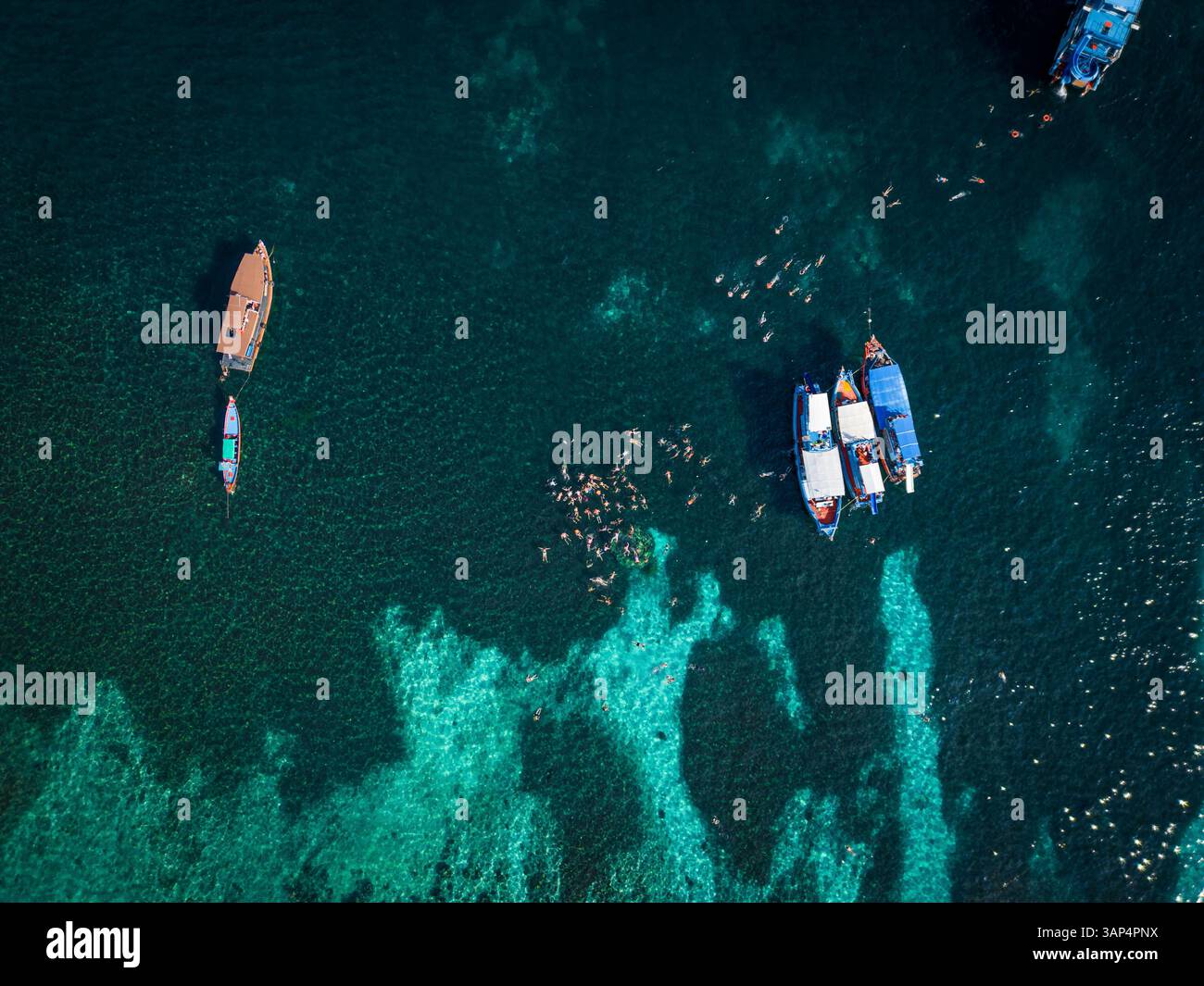 Aerial view of person snorkeling and swimming in transparent sea on ...