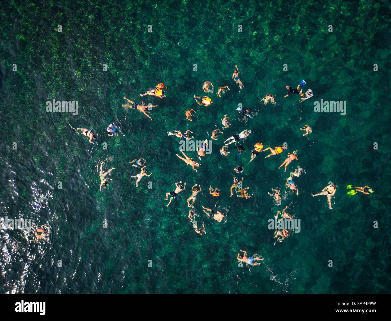 Aerial view of person snorkeling and swimming in transparent sea on ...