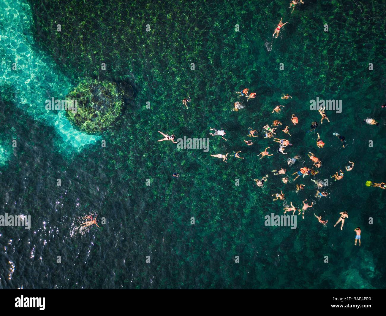 Aerial view of person snorkeling and swimming in transparent sea on ...