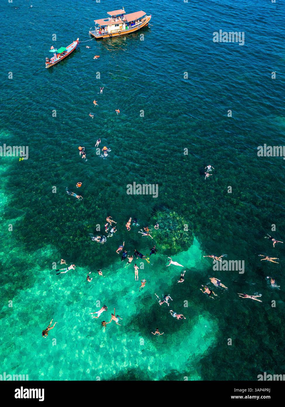 Aerial view of person snorkeling and swimming in transparent sea on ...