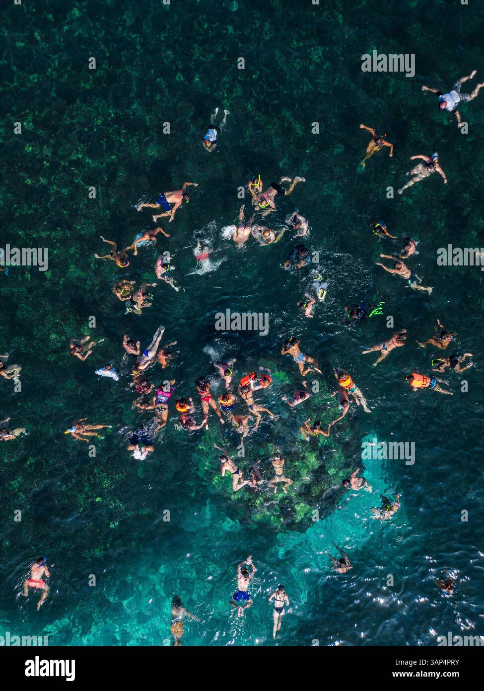 Aerial view of person snorkeling and swimming in transparent sea on ...