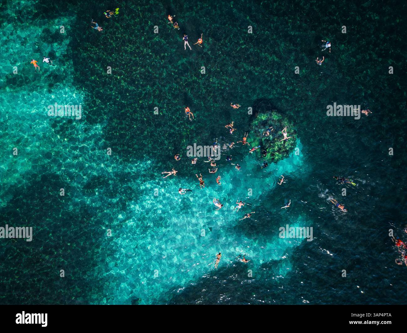 Aerial view of person snorkeling and swimming in transparent sea on ...