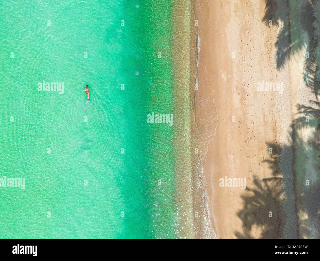 Aerial view of person snorkeling and swimming in transparent sea on ...