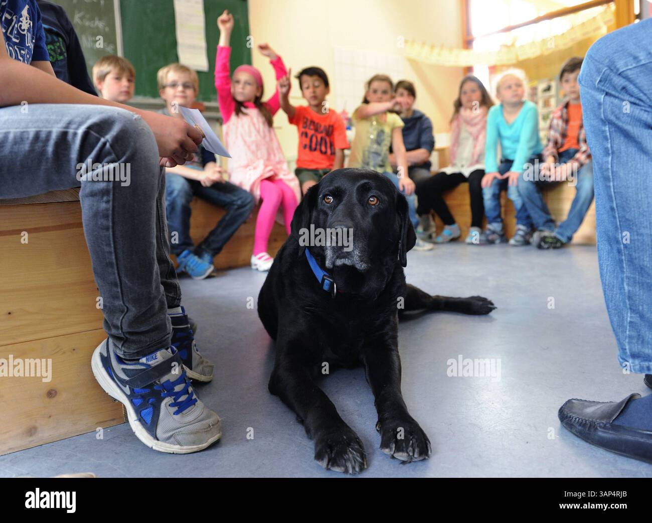 Lernen mit Tieren: Grundschule Süd-West mit Schulhund Meggi . 02.06.2015 Eschborn Neuer Trend an ...