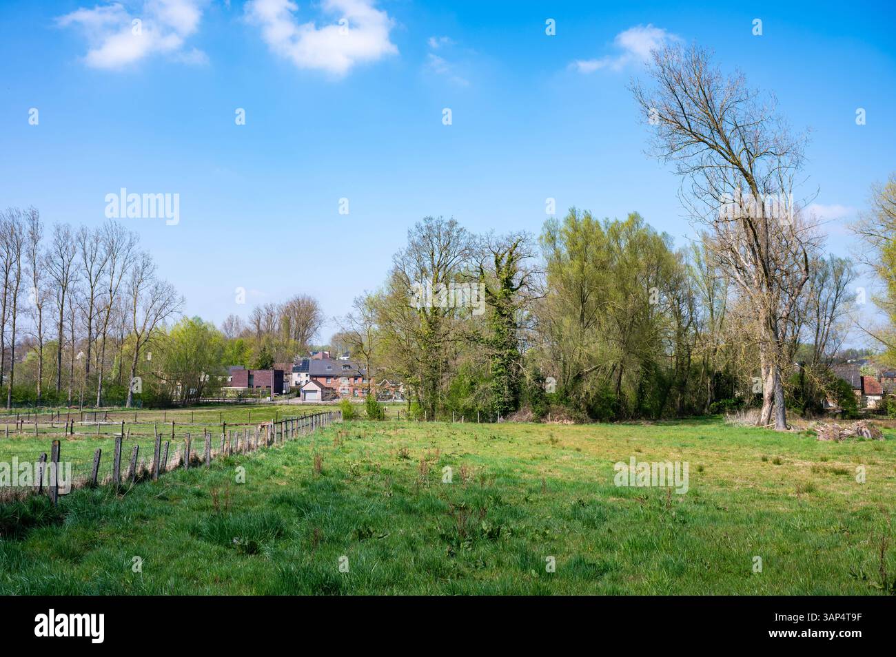Green meadows and trees at agriculture fields in Erpe Mere, East ...