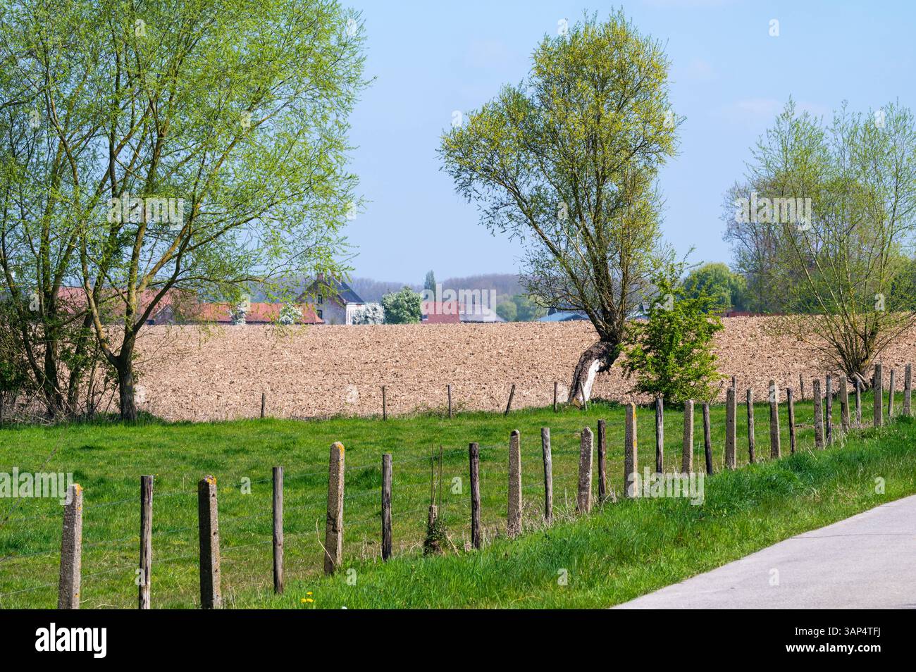 Fertilized and ploughed agriculture fields at the Flemish countryside ...