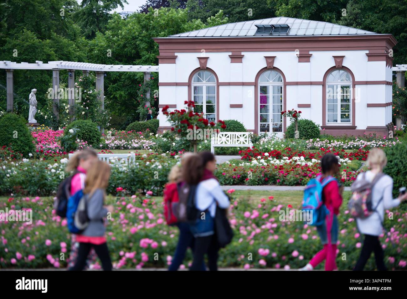 Palmengarten: Rosengarten mit dem Pavillon Haus Rosenbrunn 10.06.2015 ...