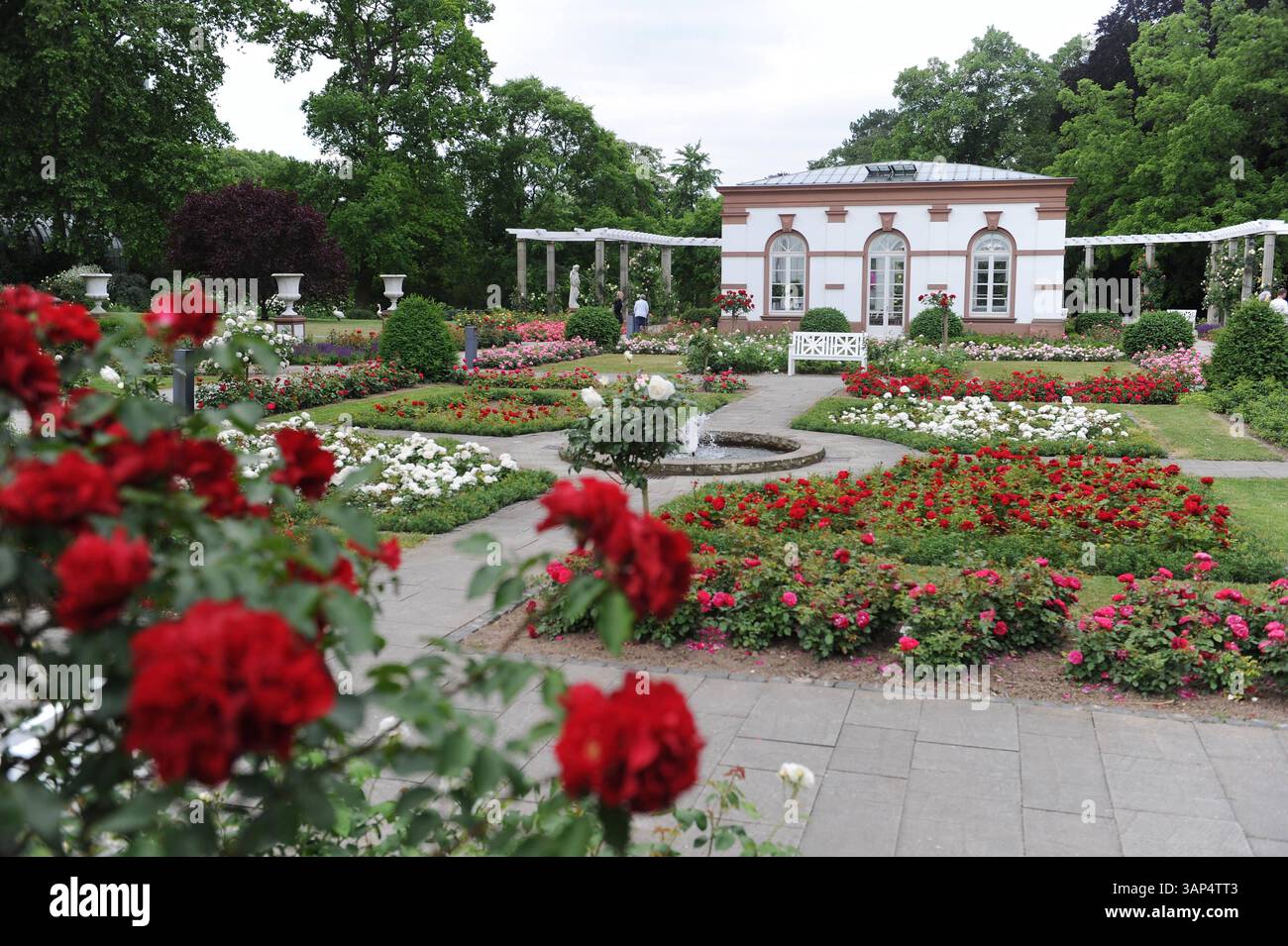 Palmengarten: Rosengarten mit dem Pavillon Haus Rosenbrunn 10.06.2015 ...