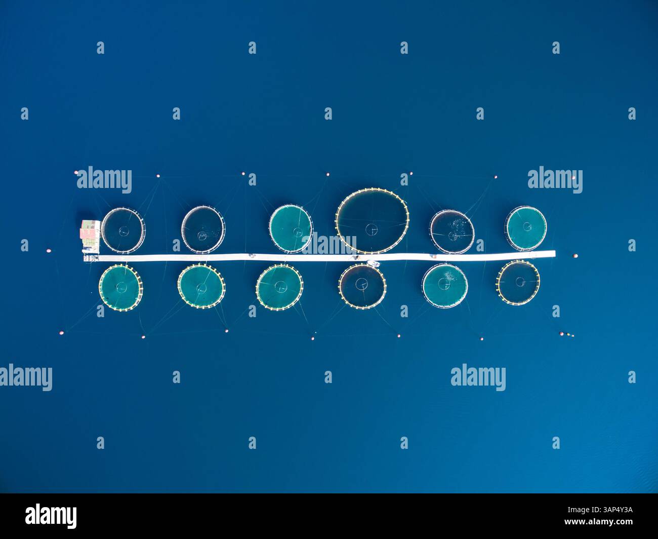 Aerial view of fish farming in Dugi Otok in Croatia Stock Photo - Alamy