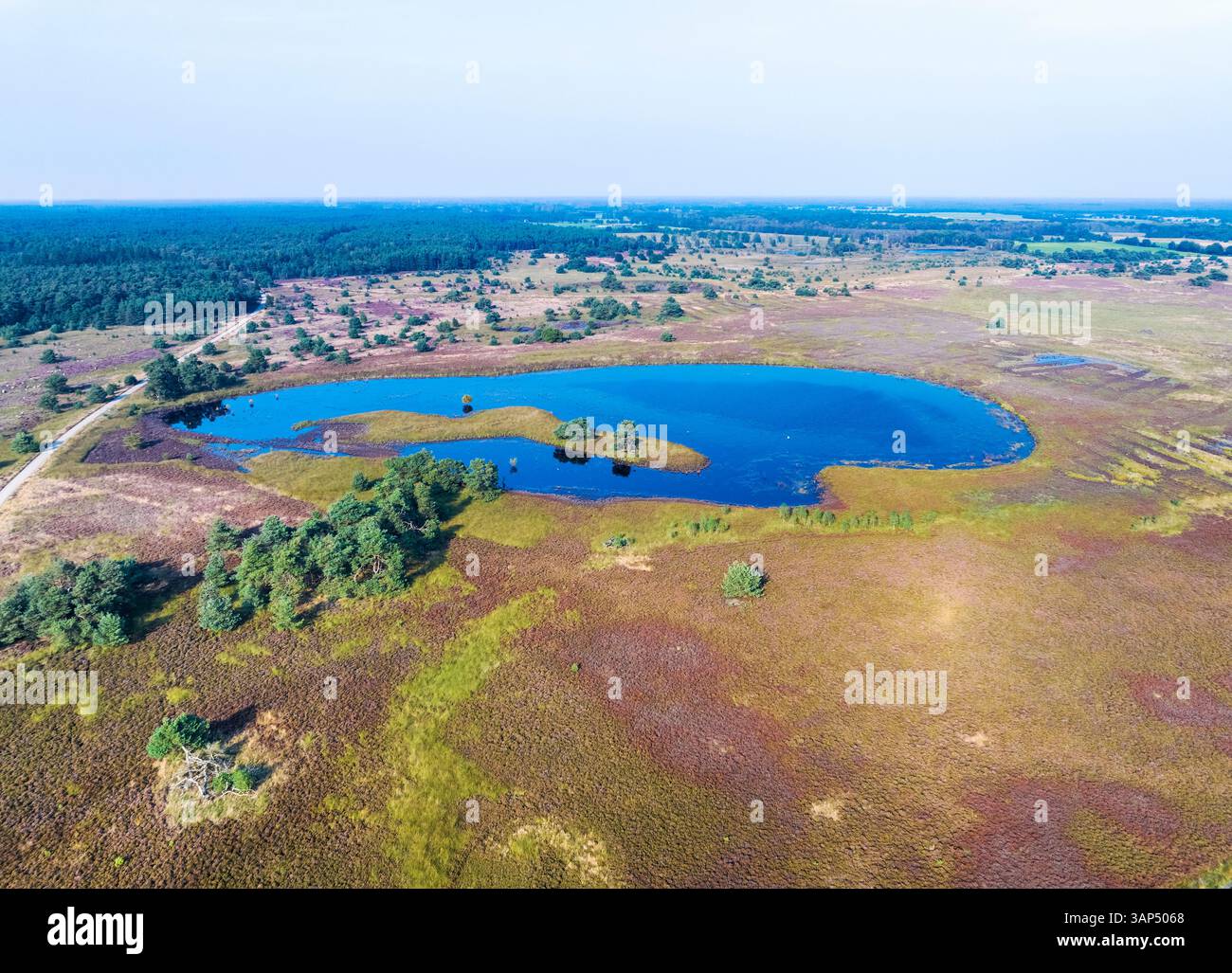 Aerial view of heather and Kraanvennen fen in the beautiful nature area ...