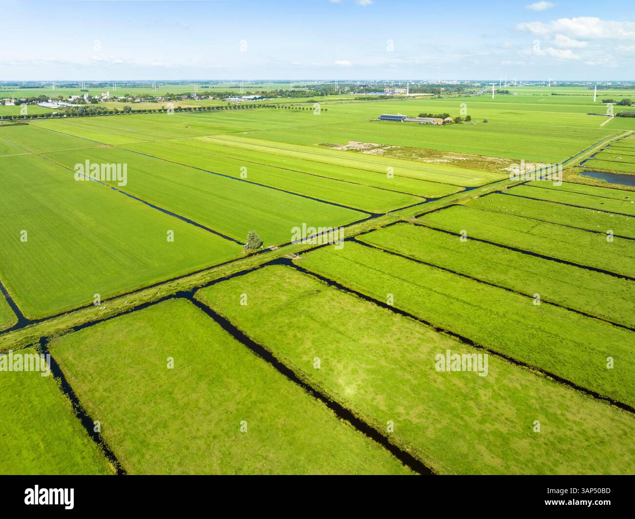 Aerial view of green meadows and ditches in peat meadow nature reserve ...