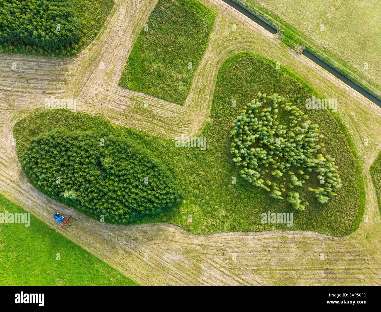 Abstract aerial view of pieces of forest and grassland in the playfully ...