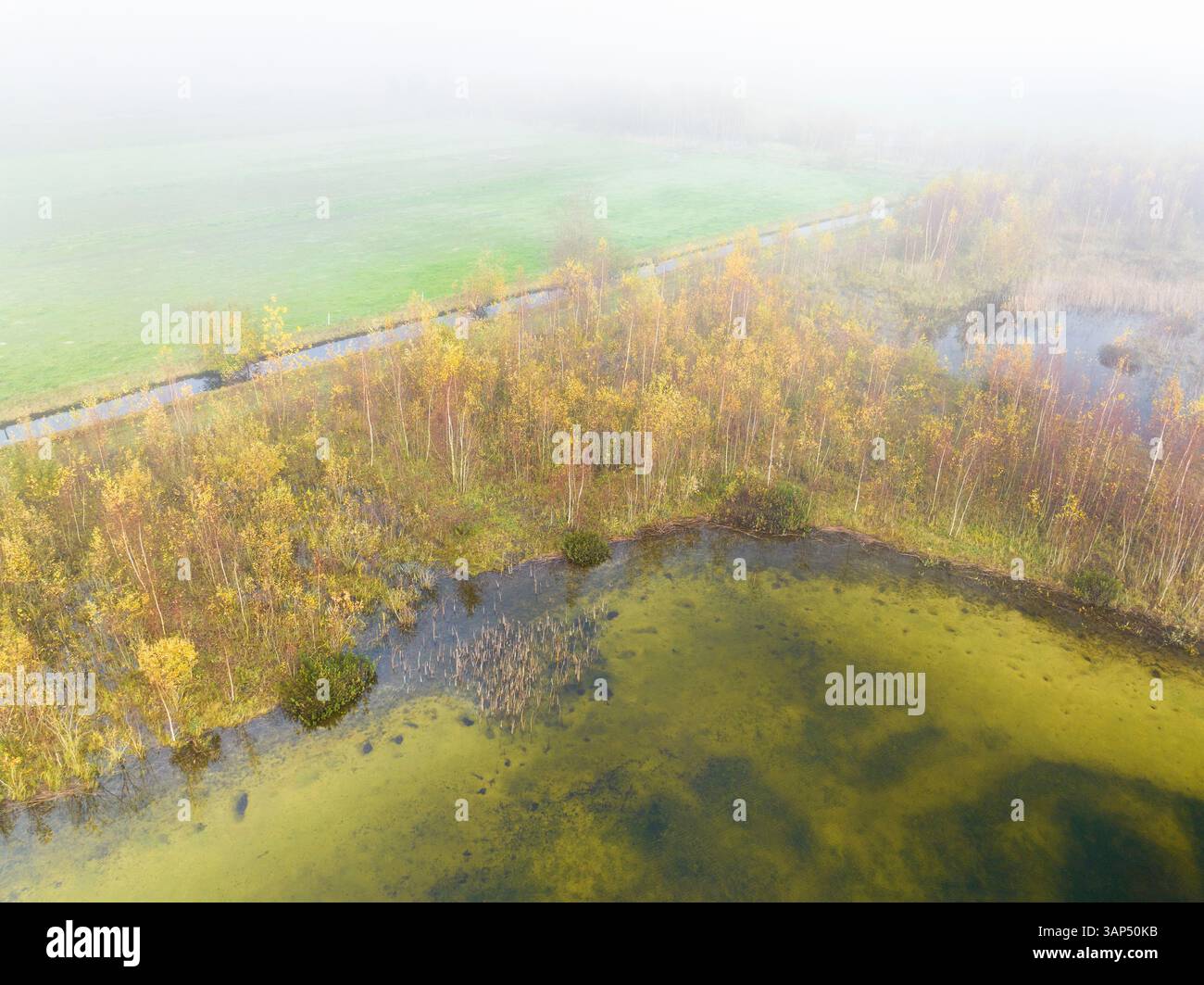 Flight on autumn lake landscape hi-res stock photography and images - Alamy