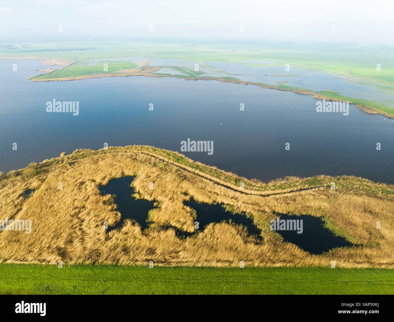 Aerial view of lake with reed and small ponds in nature area Sondeler ...