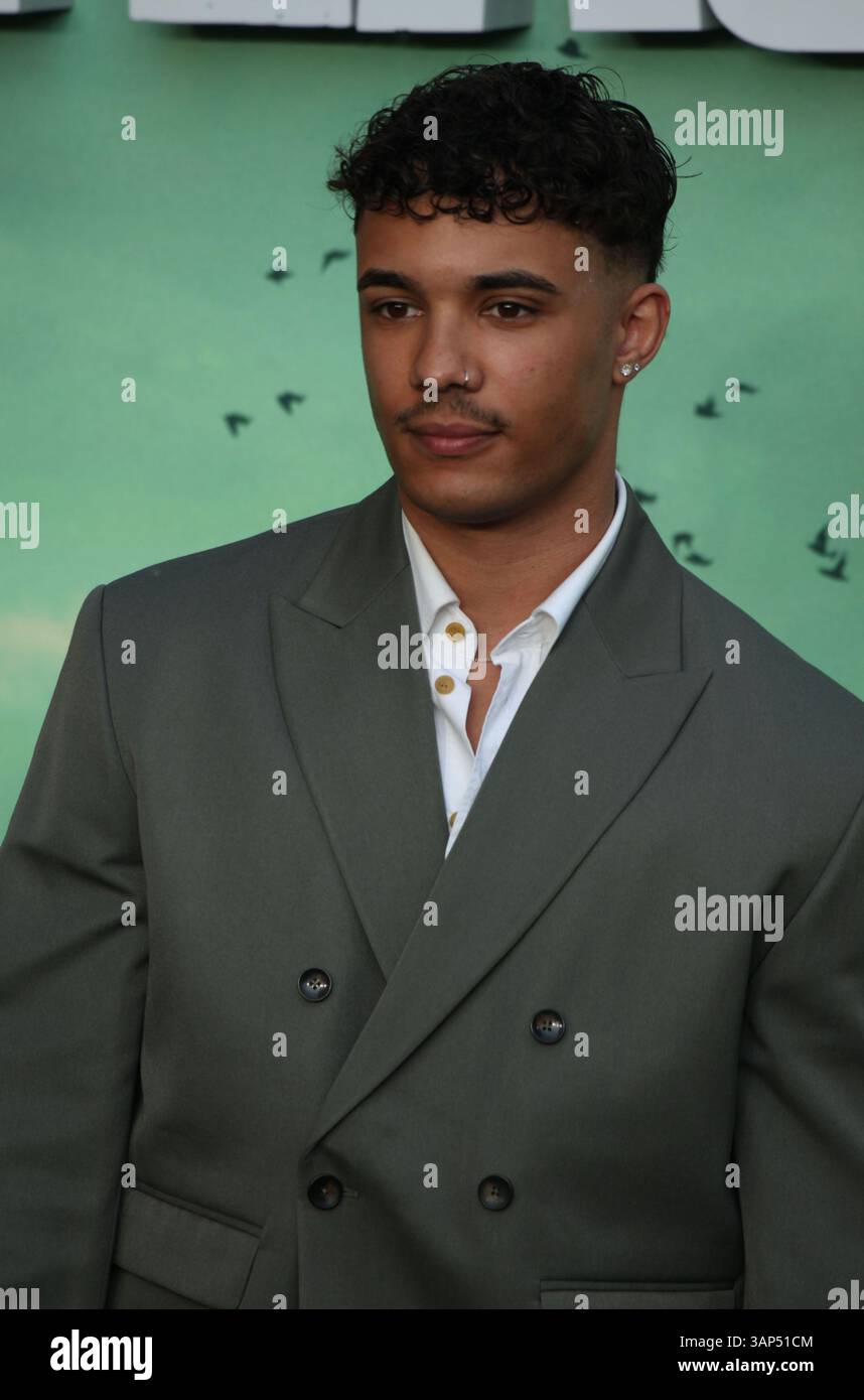 London, UK. Freddie Fraser at The Last of Us, Season II premiere. Vue ...