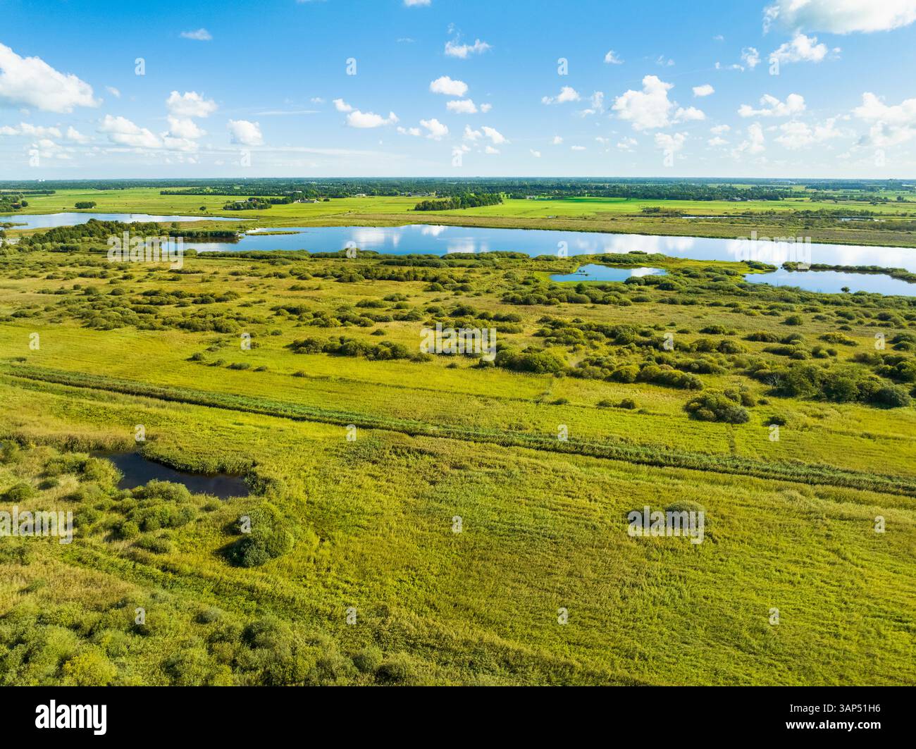 Aerial view of reedland and lake in national park De Alde Feanen ...