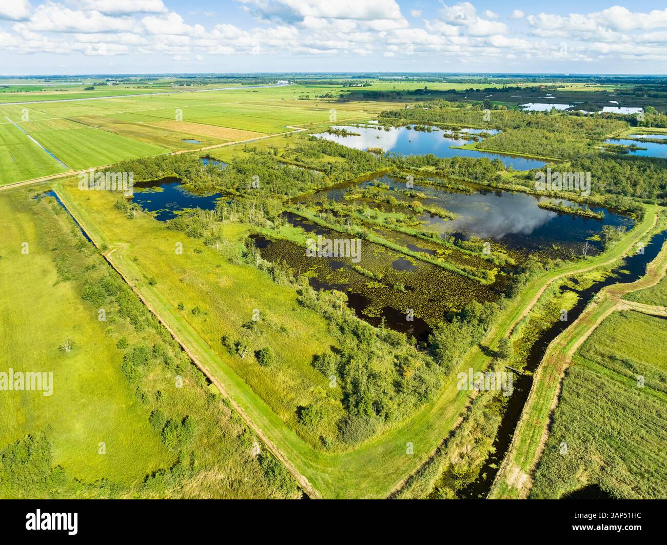 Aerial view of peat bog and peat swamp in national park De Alde Feanen ...