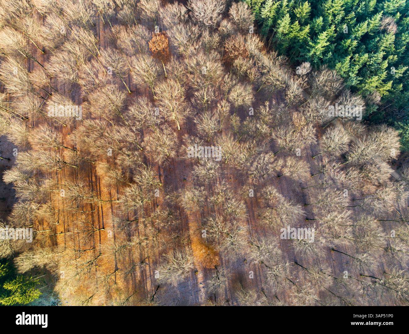 Amerongsche bosch hi-res stock photography and images - Alamy