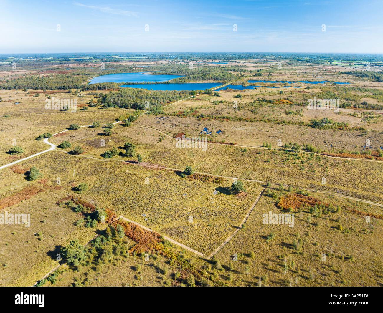 Aerial view of peat bog and lakes in national park De Groote Peel ...