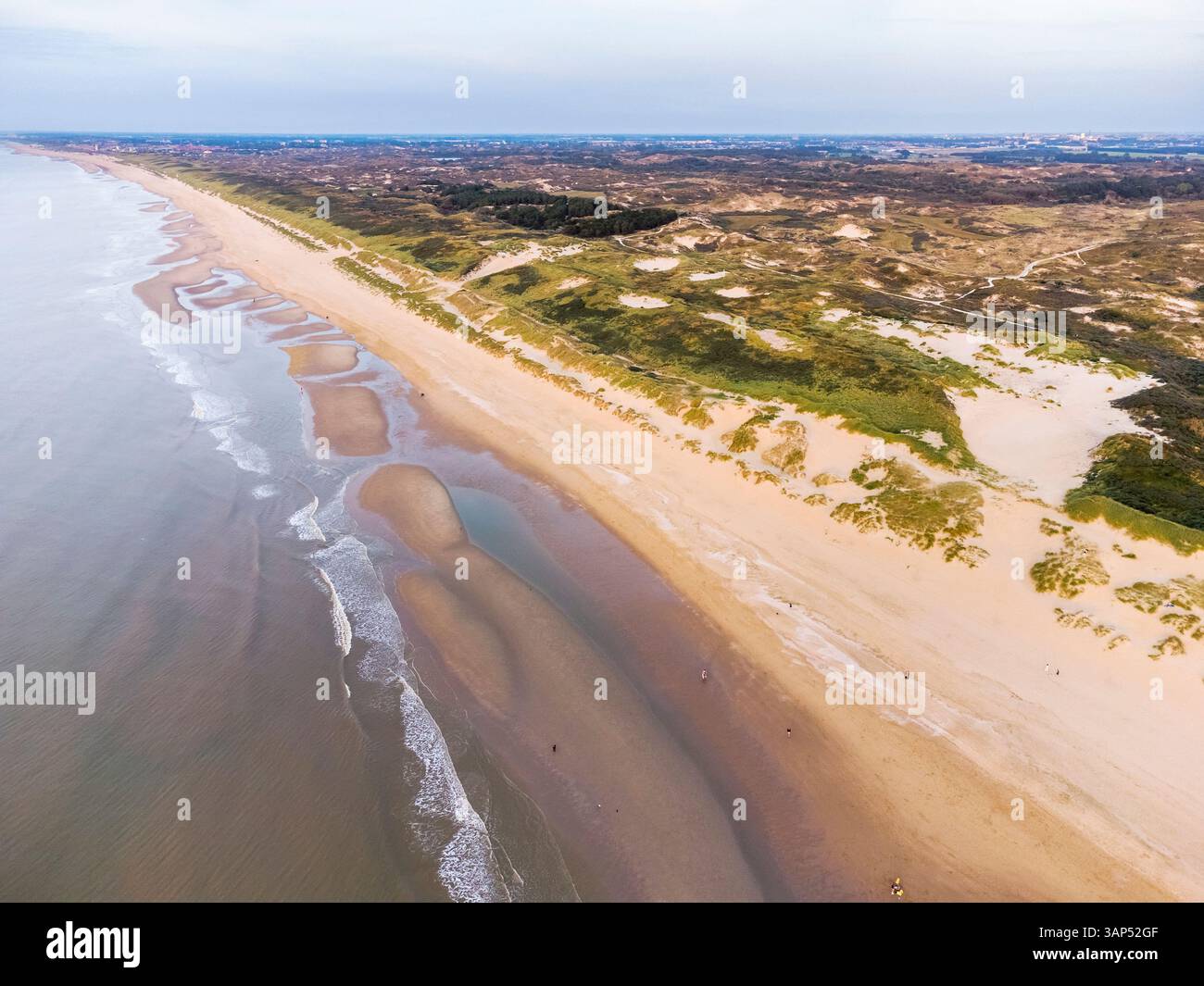 Aerial view of dunes Hollands Duin and North Sea during low tide ...
