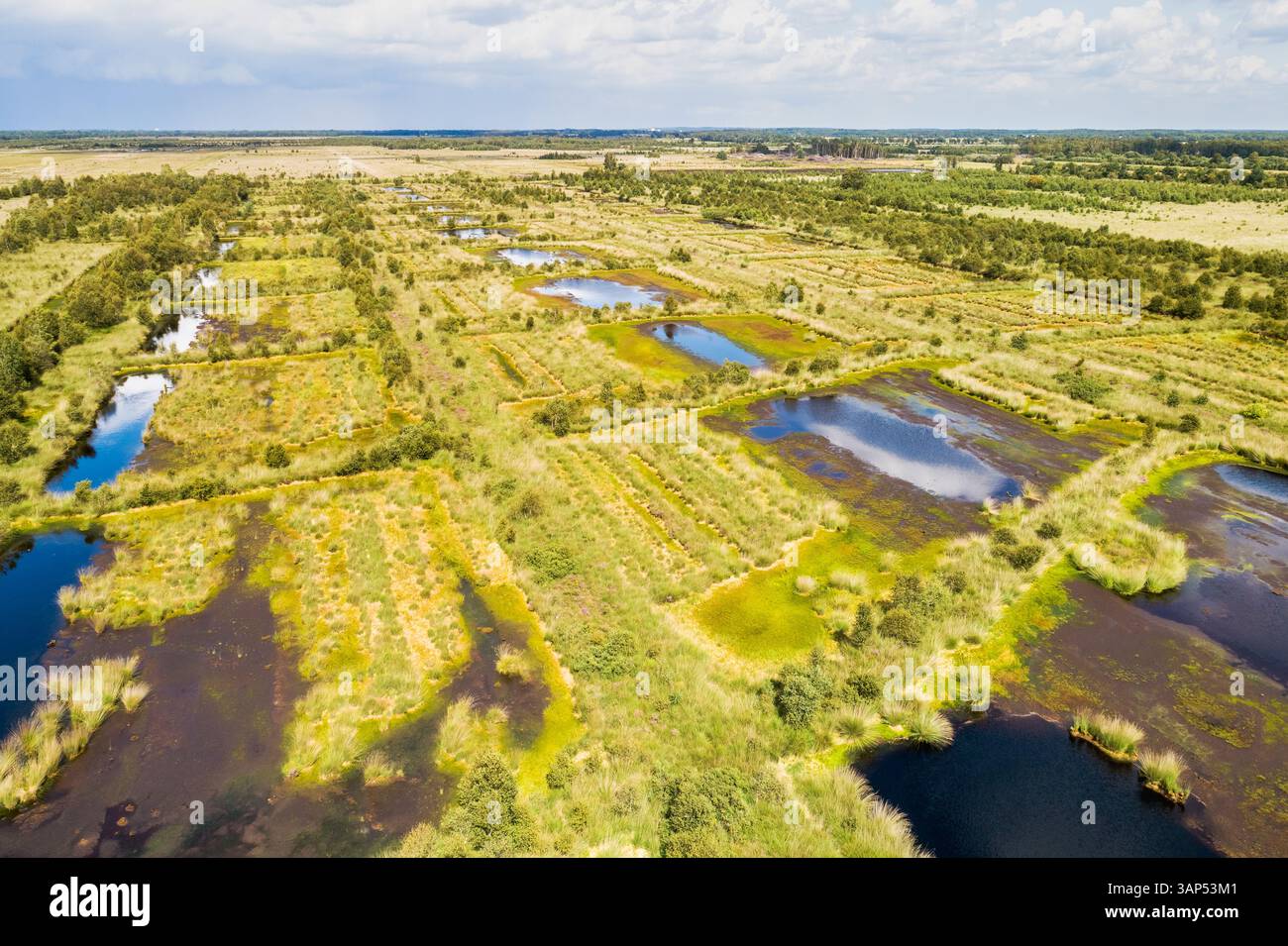 Aerial view of partly dried out lakes in peat bog, Engbertsdijksvenen ...