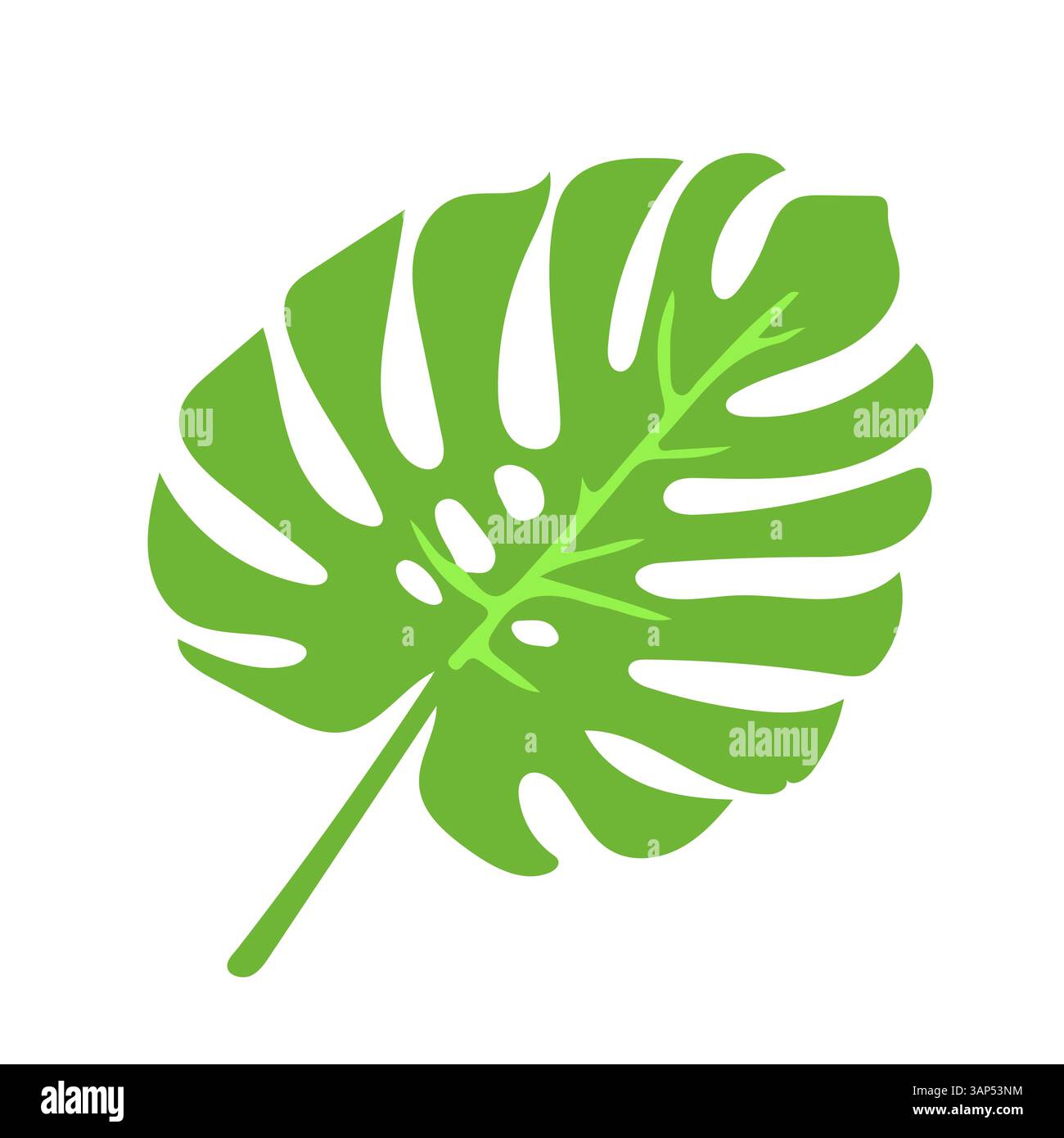 This design features a large, vibrant green monstera leaf, showcasing ...