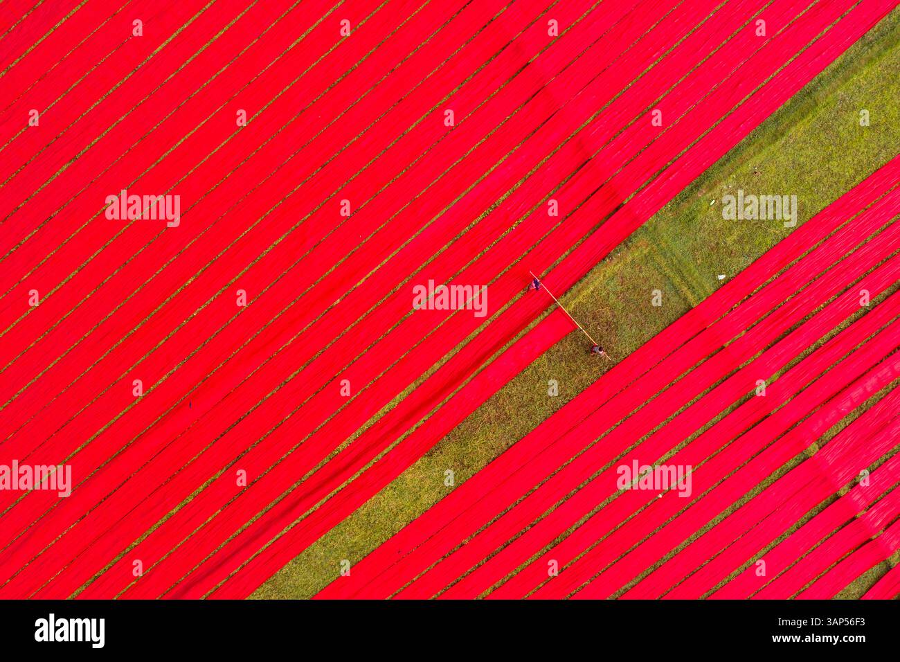 Aerial view of people working with red cloth drying lines at textile ...