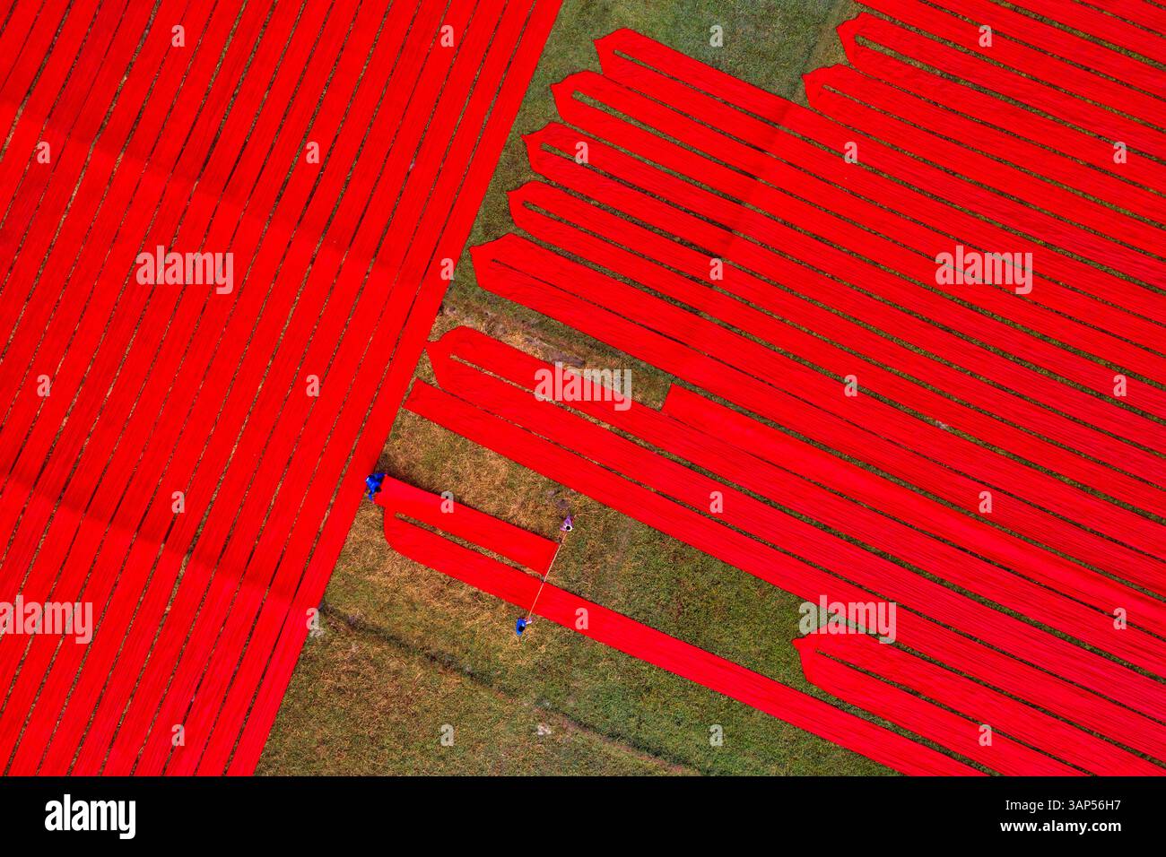 Aerial view of people working with red cloth drying lines at textile ...
