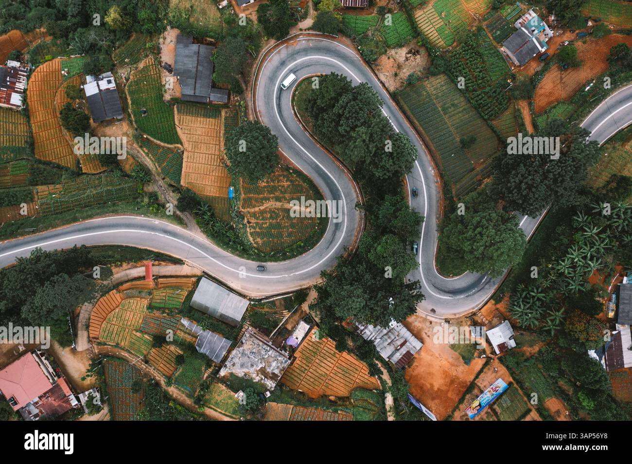 Aerial top down view of a mountain road in rural area, Ramboda, Sri ...