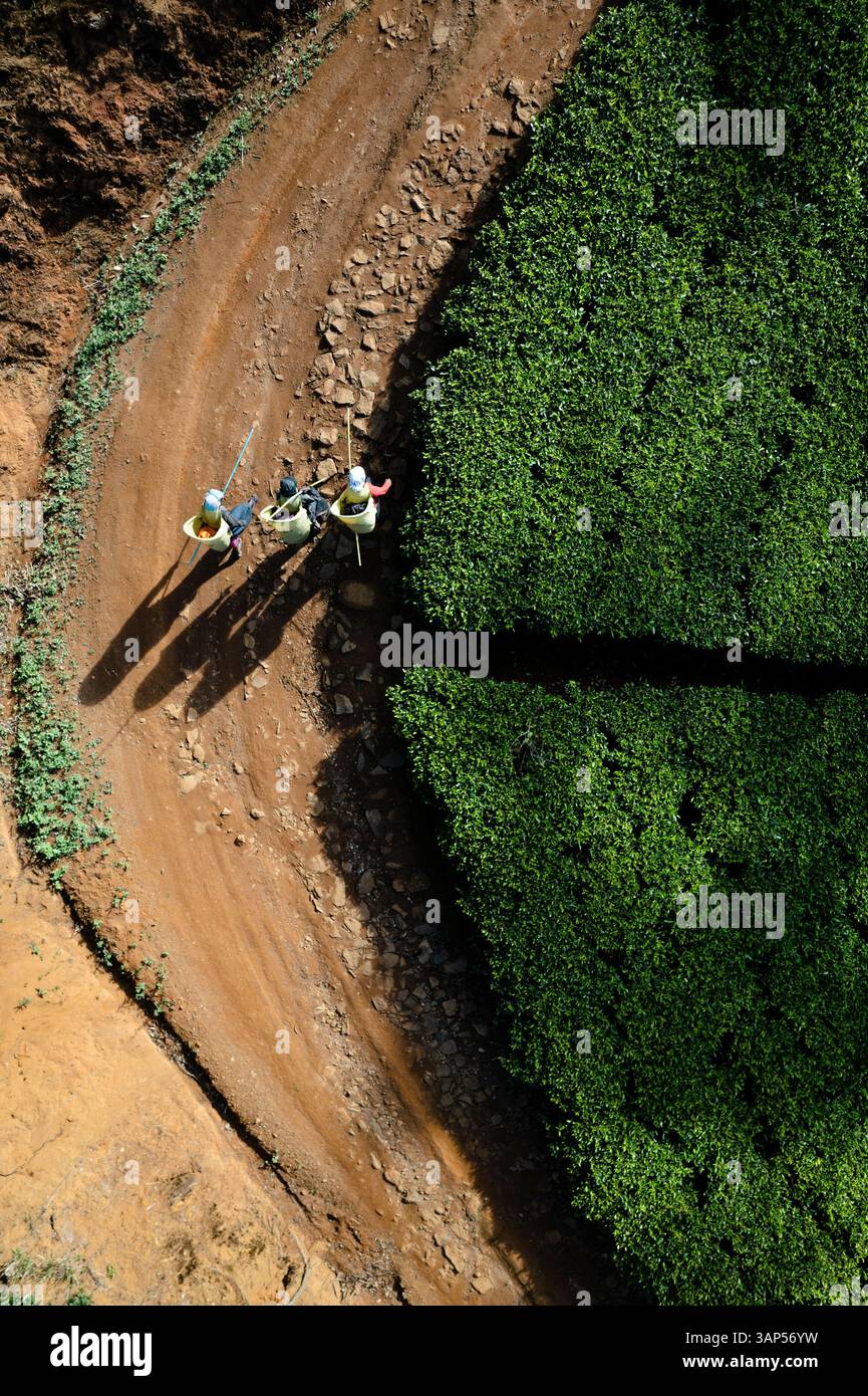Aerial view three beautiful women hi-res stock photography and images ...