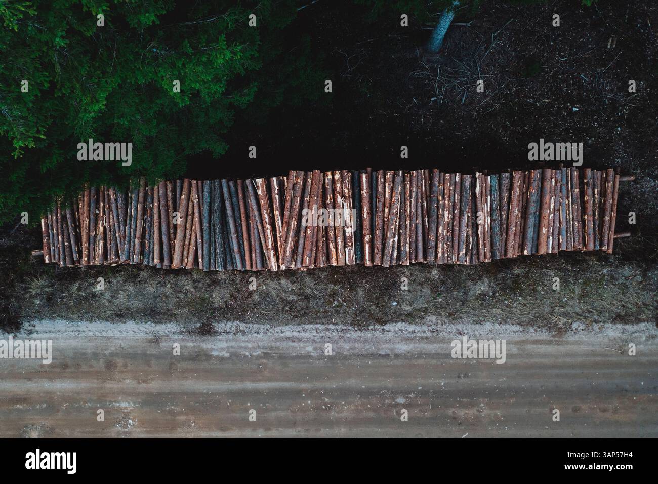 Aerial view of freshly cut trees stacked in the forest and ready to ...