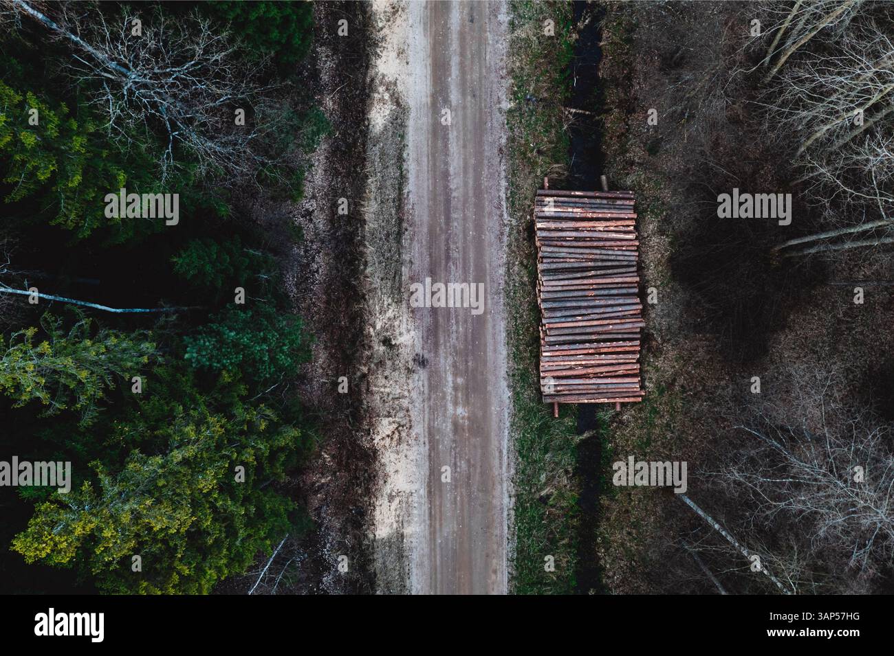 Aerial view stacked logs in hi-res stock photography and images - Alamy