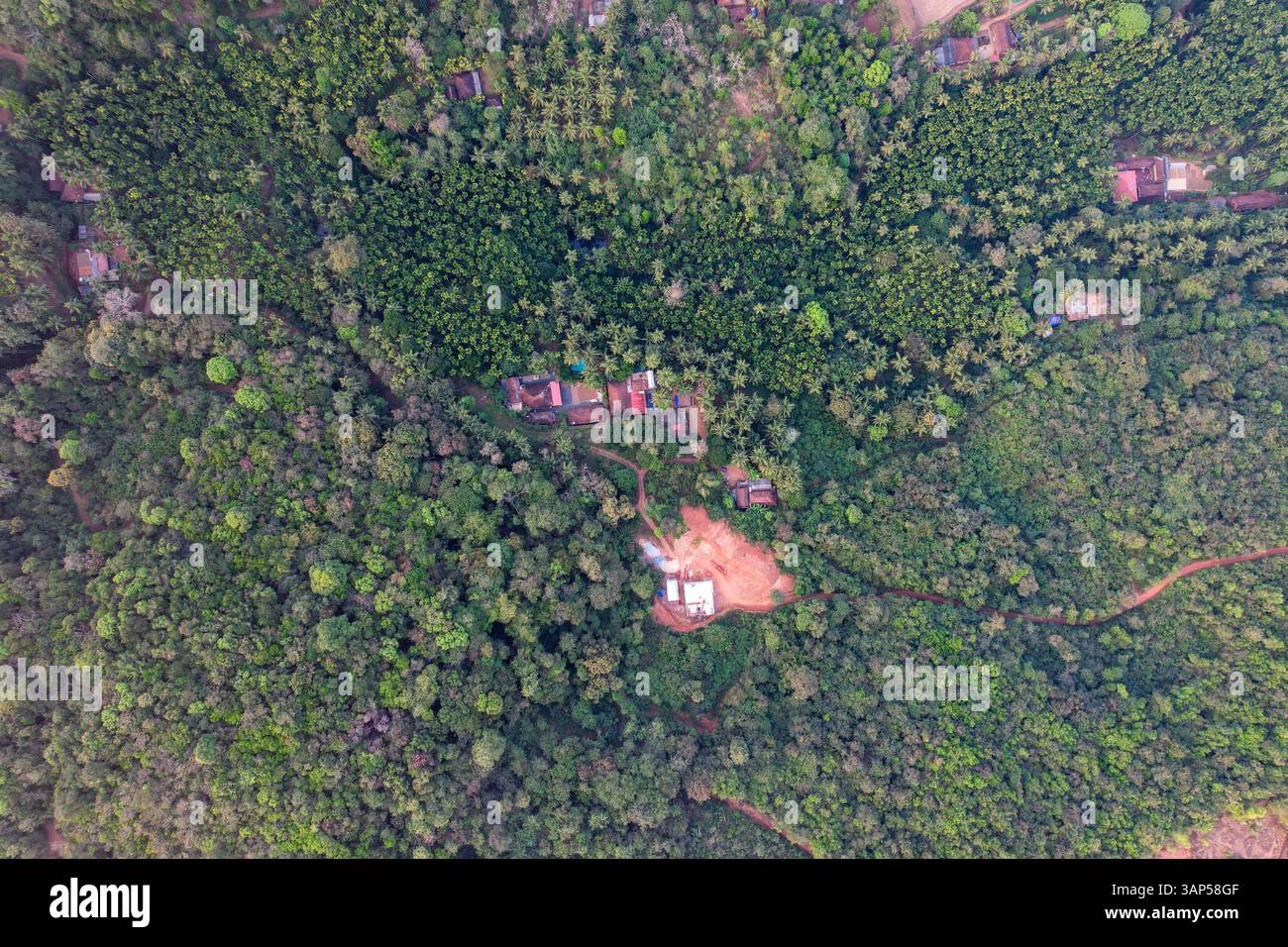 Aerial view of lush green forest with treetops and beautiful landscape ...