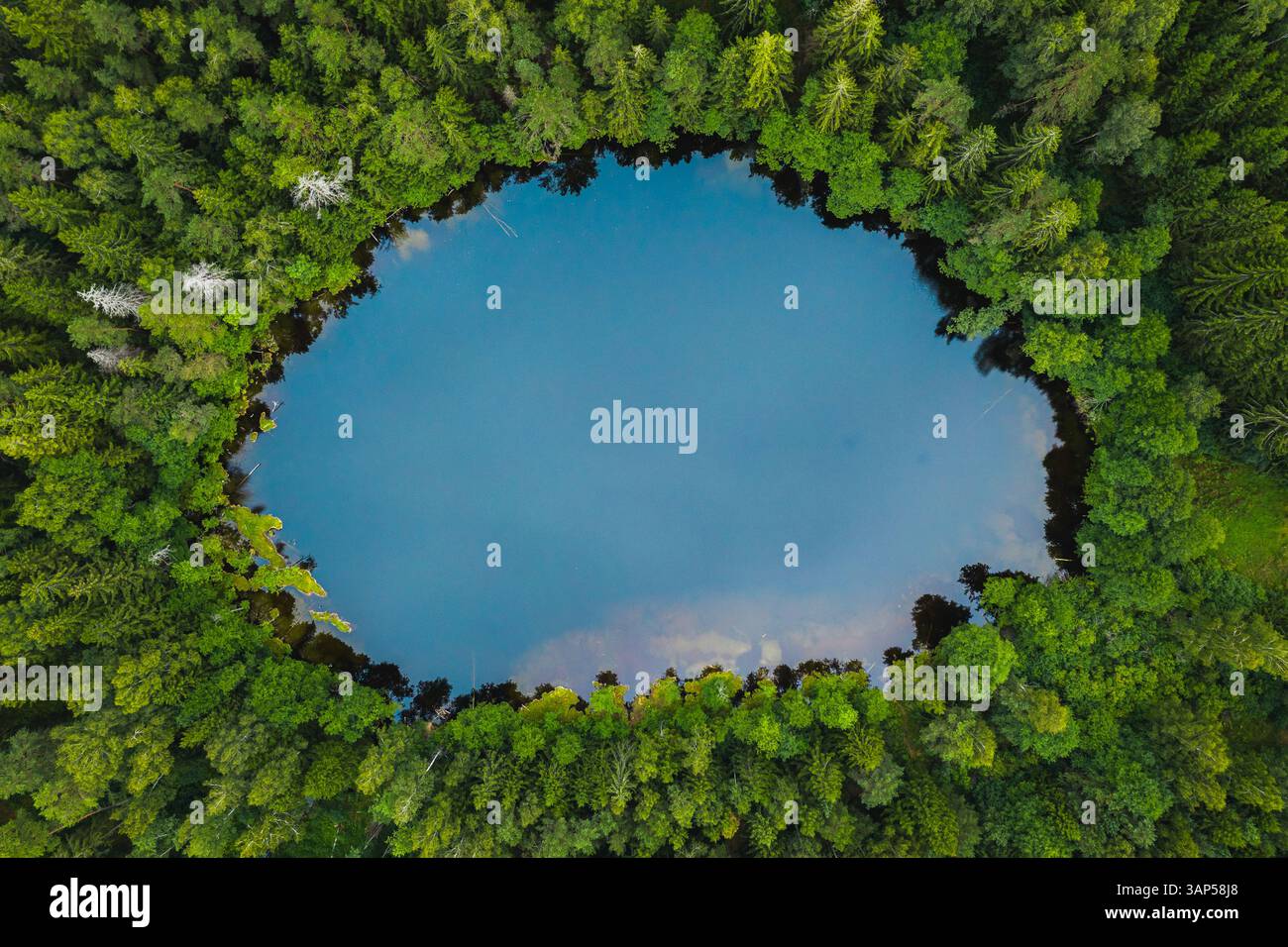 Aerial view of tiny round ice age lake in the middle of the Autumn ...