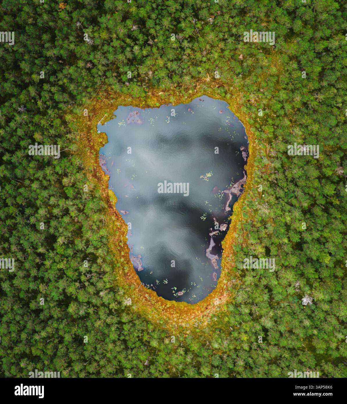 Aerial view of tiny ice age lake in the middle of woods near Moletai ...