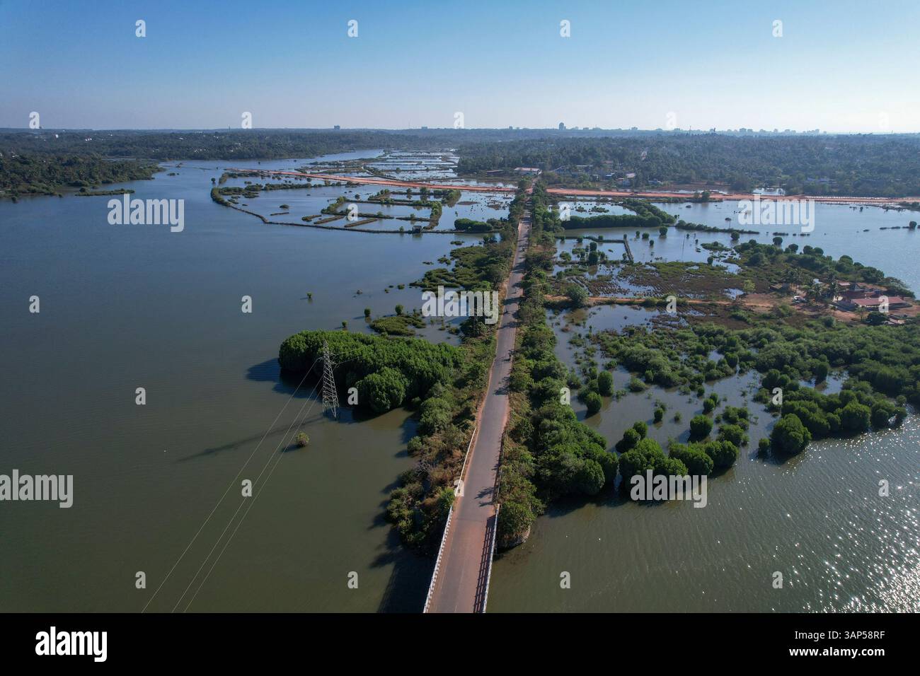 Aerial view of lush green paddy fields and meandering river with a ...