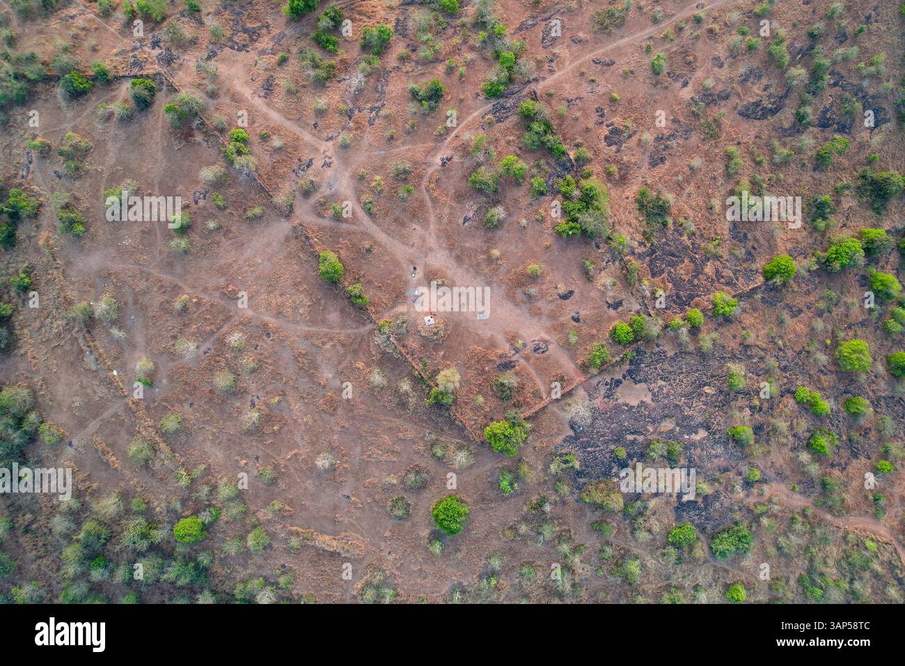 Aerial view of lush green landscape with trees and pathways, Kannur ...