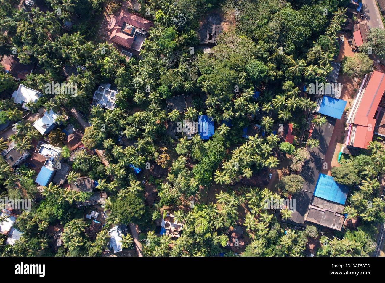 Aerial view of lush green tropical landscape with houses and palm trees ...