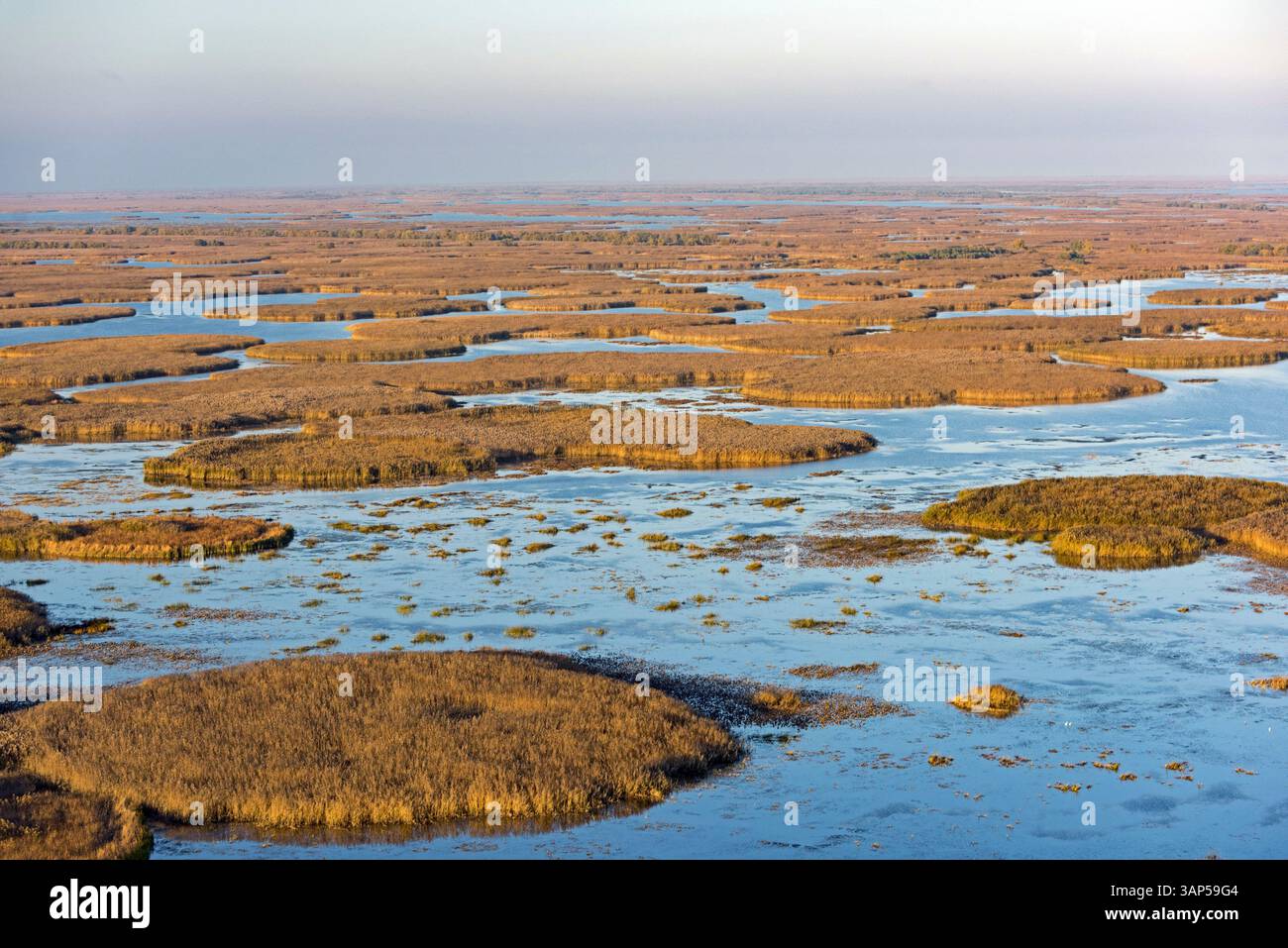 Aerial view of serene wetland landscape with tranquil water and lush ...