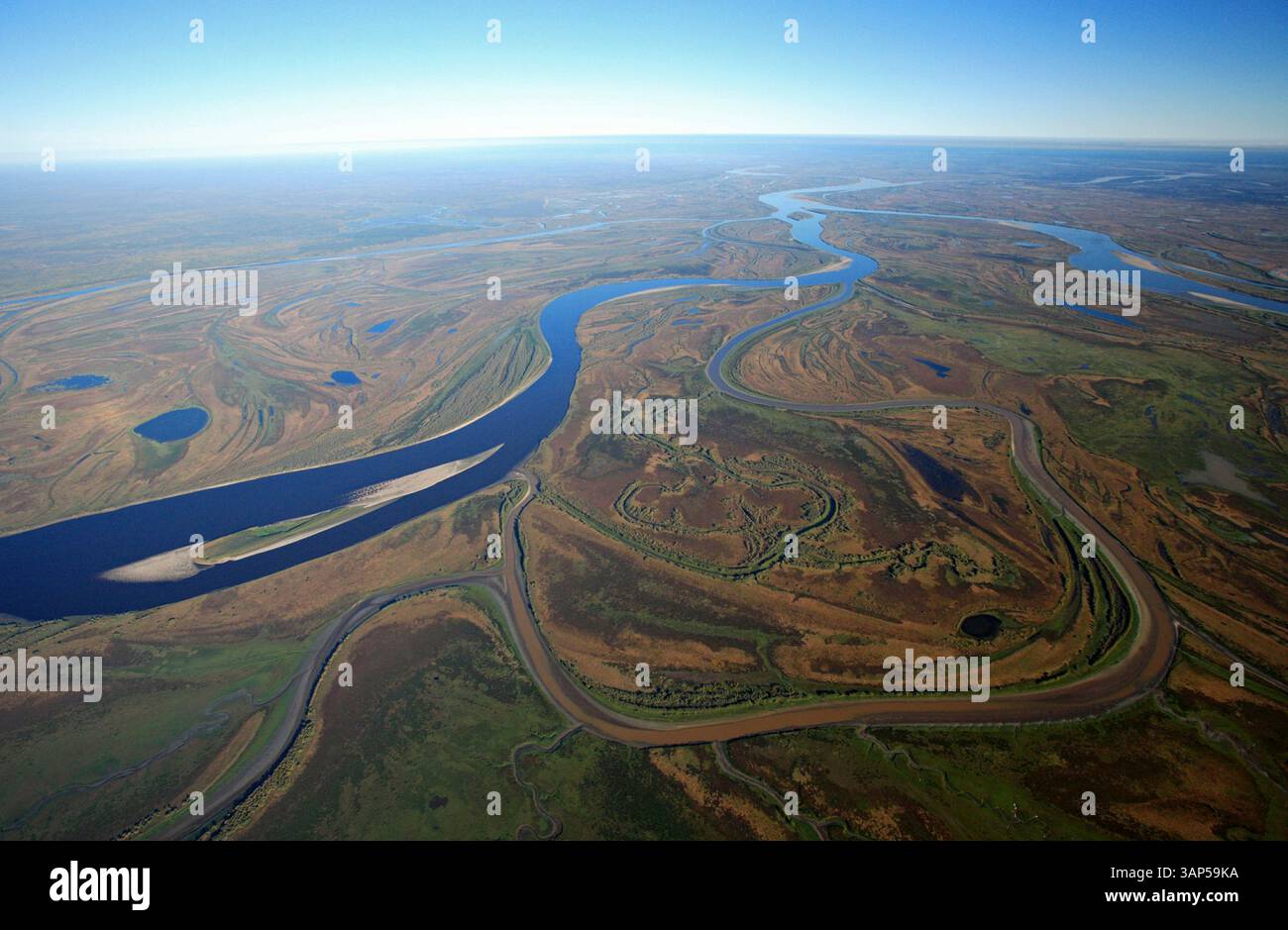 Aerial view of autumn Siberian Taiga with winding Ob River and pristine ...