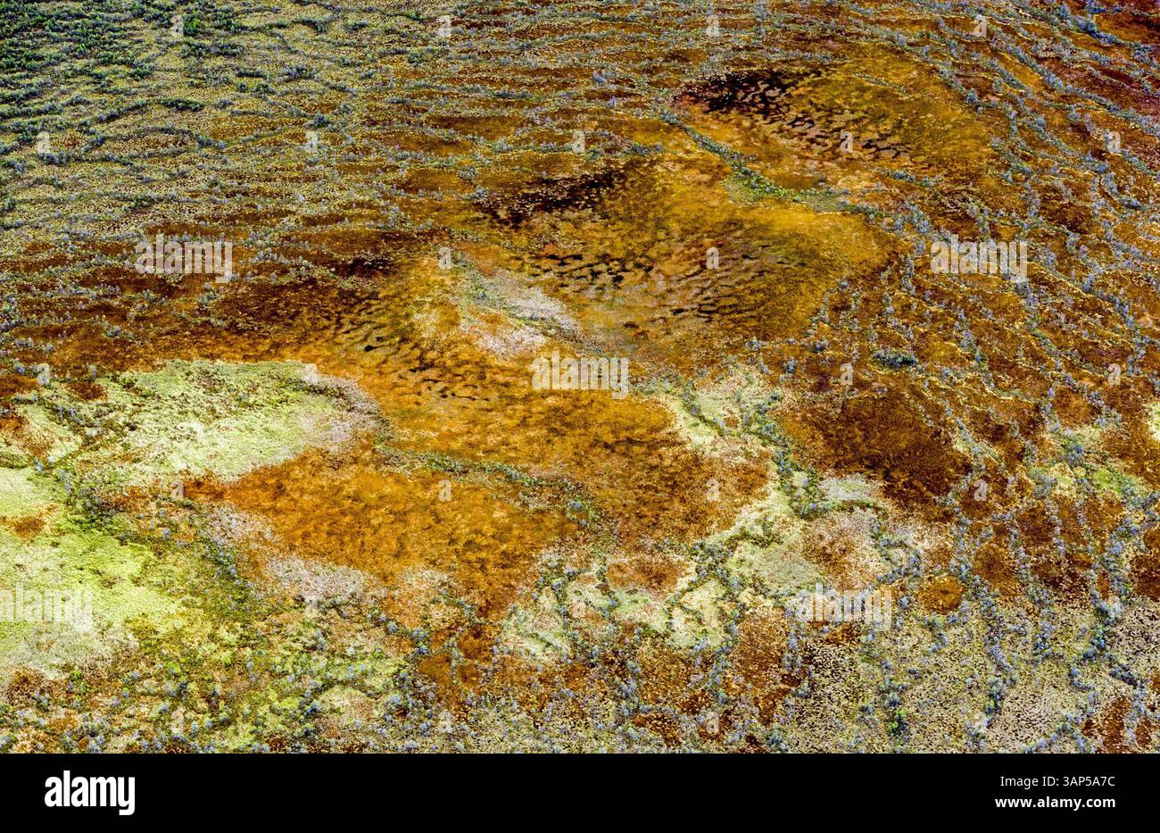 Swamp marsh moss aerial abstract hi-res stock photography and images ...