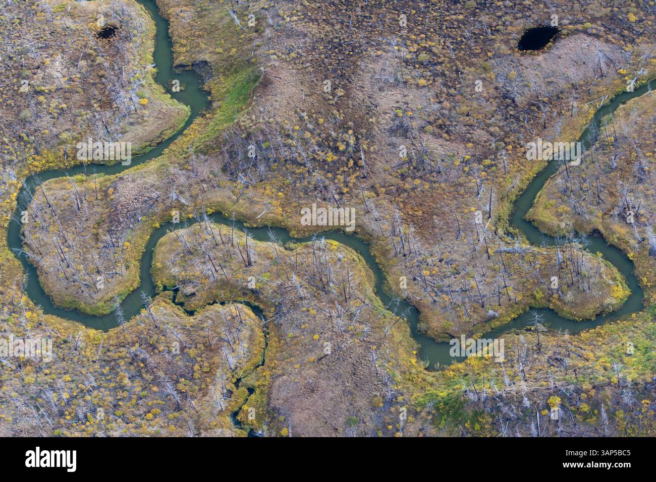 Aerial view of serpentine river winding through beautiful wetlands with unusual textures, Taymir ...