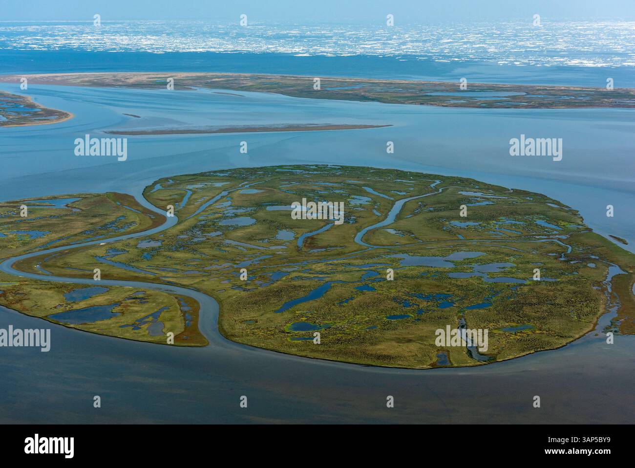 Aerial view of tranquil wetlands and winding rivers with beautiful ...