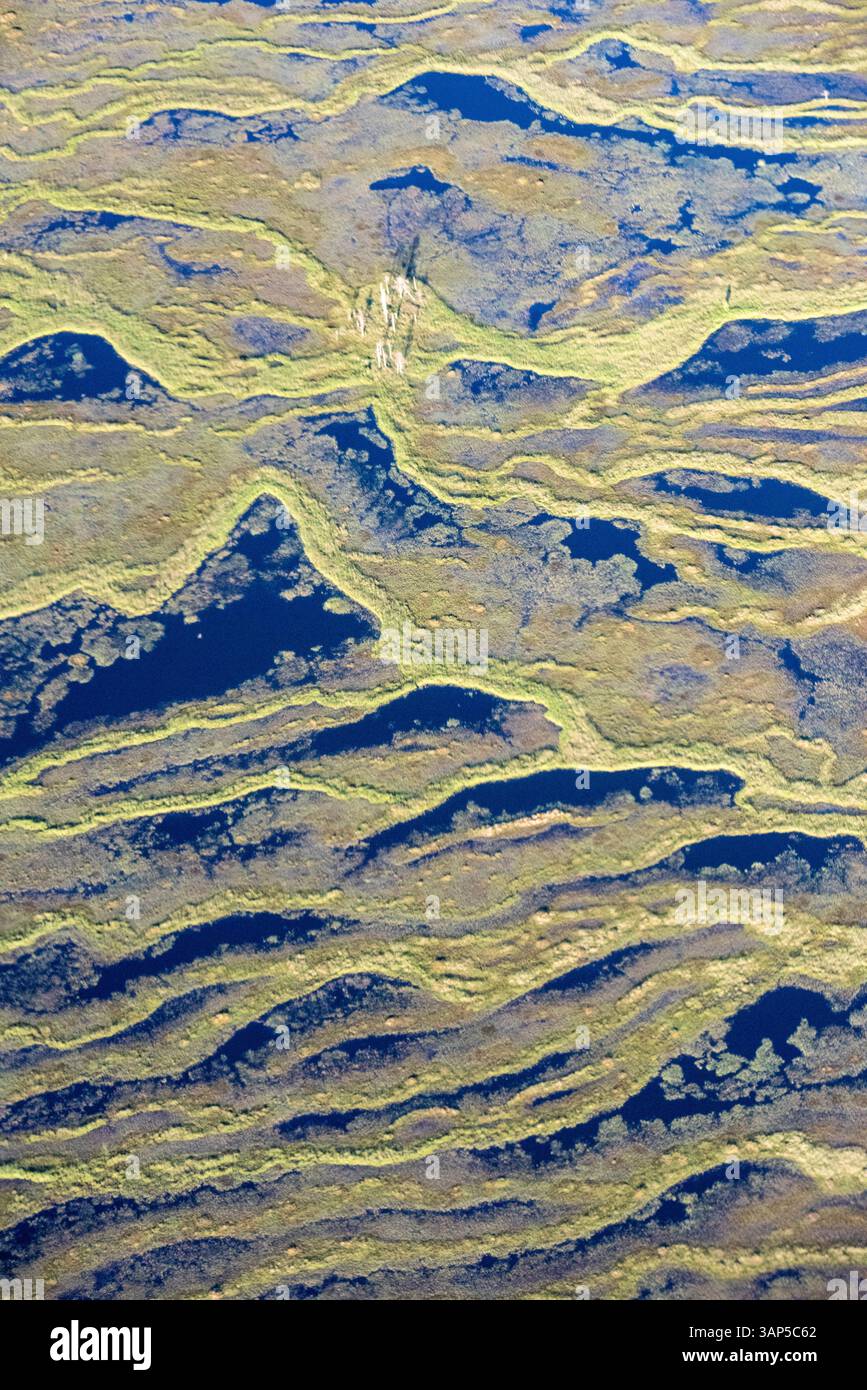 Aerial view of beautiful wetlands with serpentine rivers and unusual ...