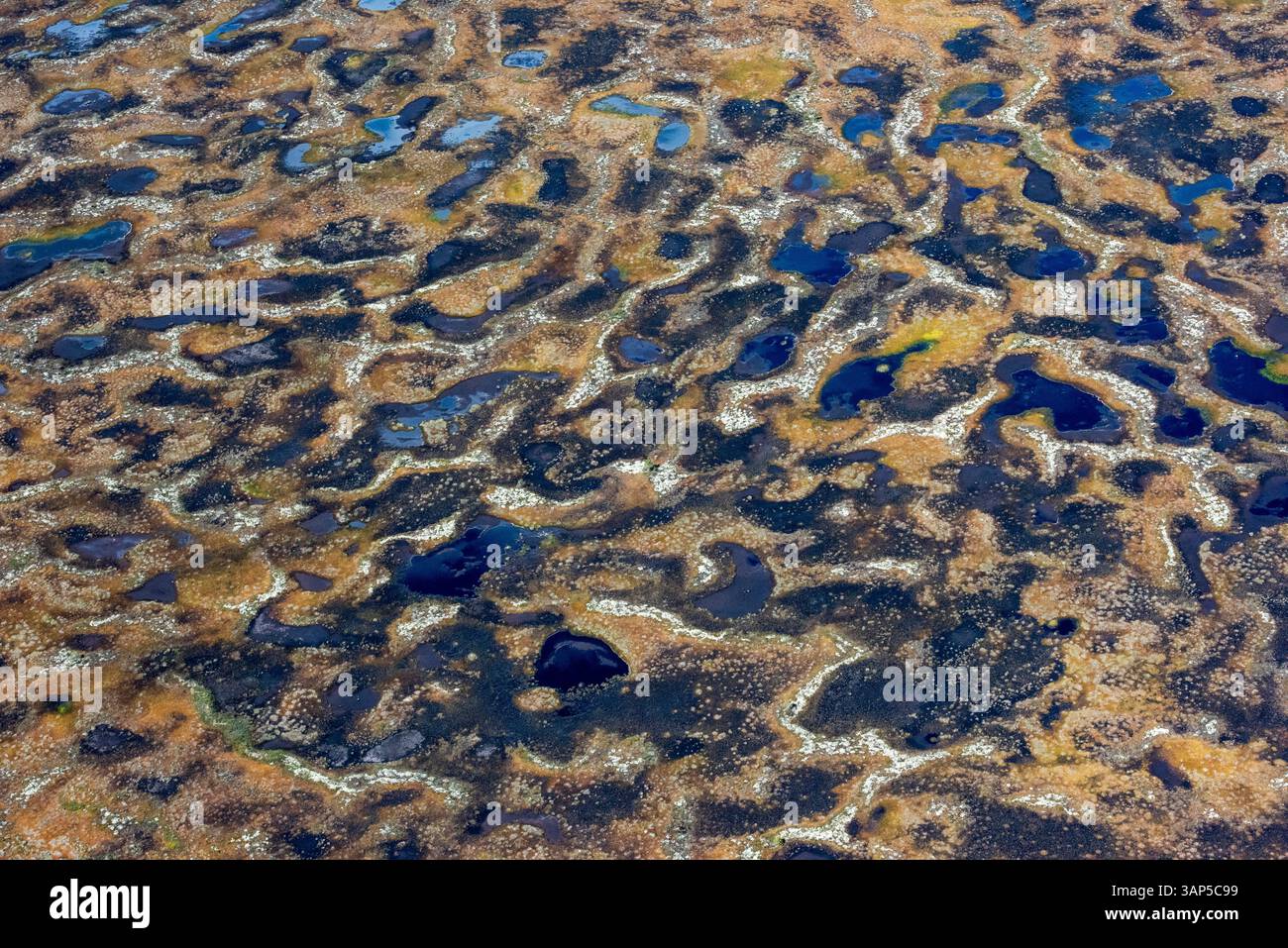Aerial view of serene and pristine swamp with beautiful patterns in ...