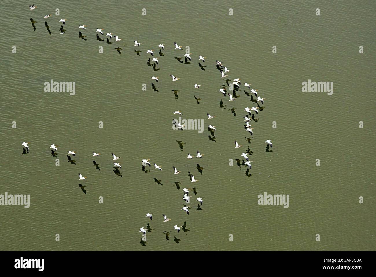 Manych gudilo lake hi-res stock photography and images - Alamy