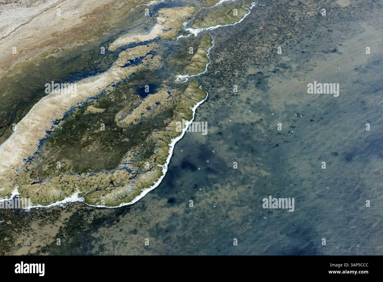 Aerial view of serene Lake Manych Gudilo with tranquil shoreline and ...