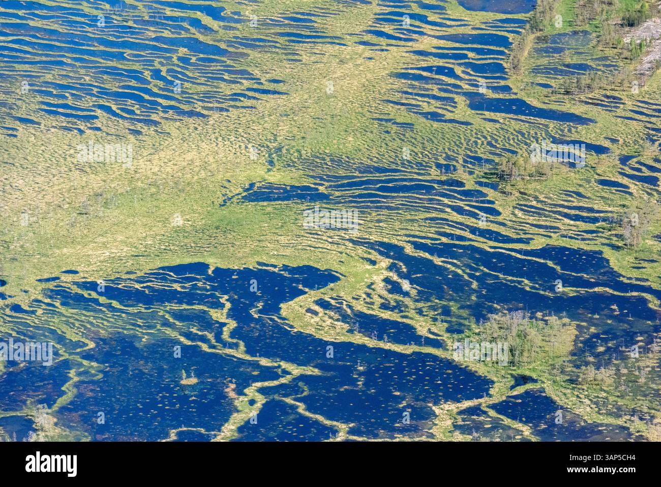 Aerial view of beautiful serpentine river flowing through lush wetlands ...
