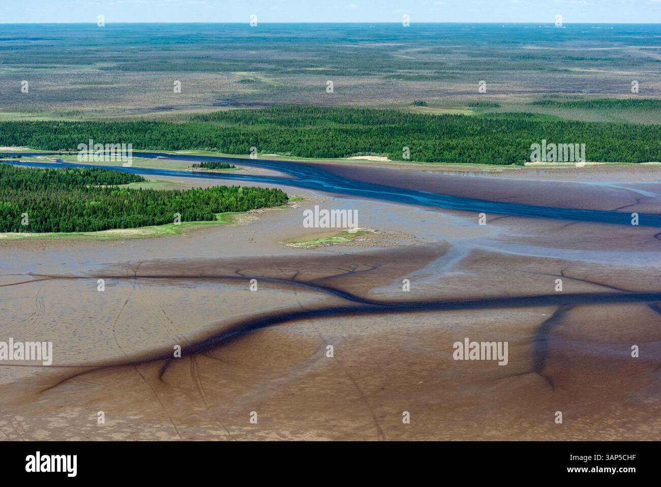 Aerial view of serene Onega Bay with lush green forests and meandering ...