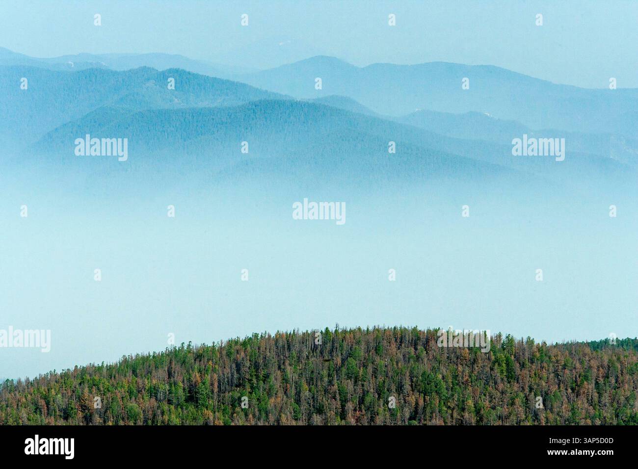Aerial view of forest fire in taiga with smoke and haze over mountains ...